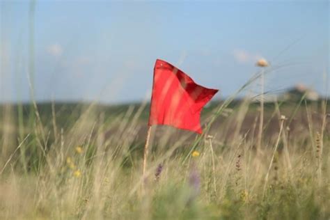 Дитинча «Червоні прапорці як батькам оцінити розвиток малюків