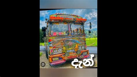 කුබියොට ආදරේ කට්ටිය කෝ බලන්න 🥰🥰🥰 Youtube