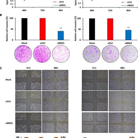 Bioinformatics Annotation Of Brd3 Promoter Region Using Ucsc Genome