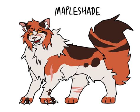 Mapleshade By Razmerry On Deviantart