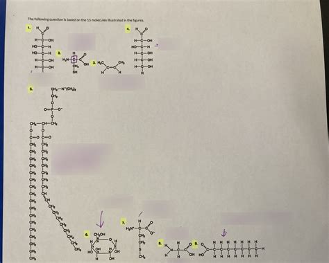 Functional Groups From Paper Ap Bio Diagram Quizlet