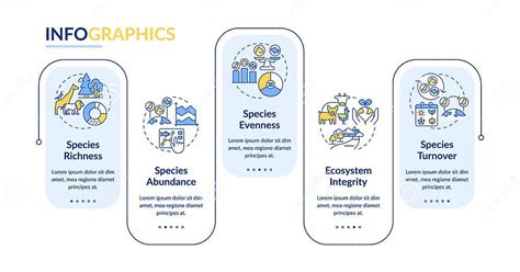 Biodiversity Measurement Rectangle Infographic Vector Stock Illustration Illustration Of