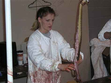 P1010329 Todd Flickr