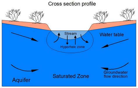 Diagram Of Surface Water How Is Surface Water Related To Gro