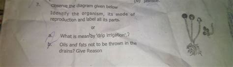 Observe The Diagram Given Below Filo