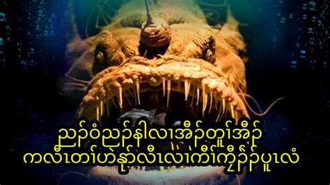 ညၣ်ဝံညၣ်နါလၢအီၣ်တူၢ်အီၣ်ကလီၤတၢ်ဟဲနုာ်လီၤလၢ ကီၢ်ကၠီၣ်ဲၣ်ပူၤလံ 2 8 2024 Youtube