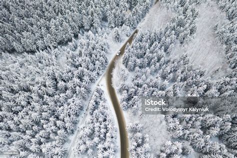 높은 소나무 또는 눈으로 덮여 가문비 나무와 겨울 숲에서 흰색 자동차와 도로의 공중 보기 겨울에 운전 가리기에 대한 스톡 사진 및 기타 이미지 Istock
