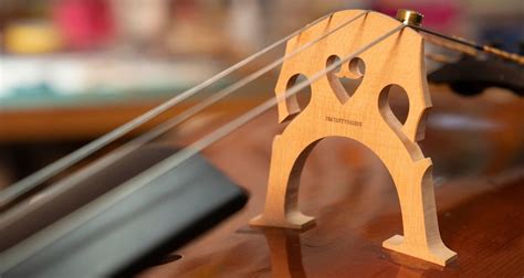 Caring For Your Violin Tips Looking After A Violin Viola Cello