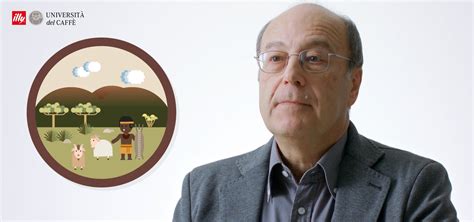 Playpics Motion Design And Animation Il Caffè Illy