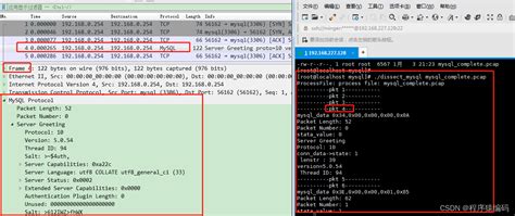 Mysql协议解析及cc代码实现mysql 访问 协议 是什么协议 Csdn博客