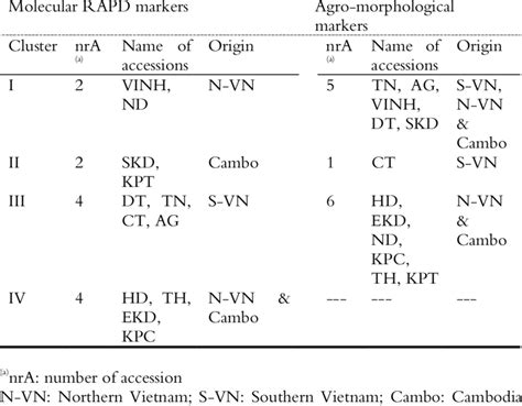 Clustering Patterns Of Sesame Accessions Based On RAPD And Download Table