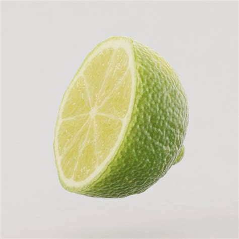 Lime 3d Models Download