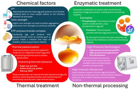 Egg Yolk A Multifunctional Emulsifier New Insights On Factors