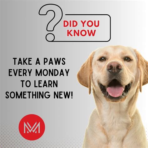 What Is An Fce A Functional Capacity Evaluation Fce Is A Comprehensive… Managed Medical