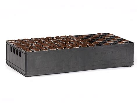 Tree Propagation Pots At Fawn Adams Blog