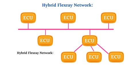 Exploring Flexray Automotive Communication Bus Dynamics