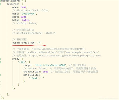 error：validationerror webpack dev server invalid options options should not have additional