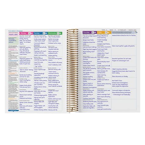 Critical Reflection Bundle For Eylf Butler Diaries