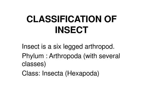 Solution Classification Of Insect 1 Studypool