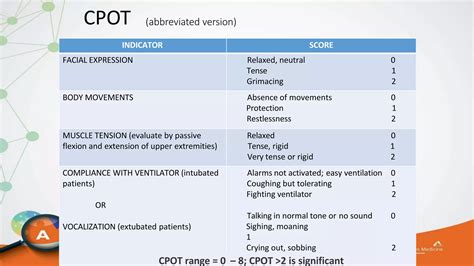 Abcdef Bundle Icu Liberation Bundle Pptx
