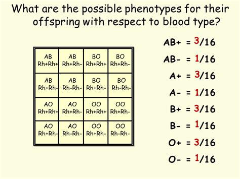 Blood Types Chart With Rh Factor Genetics Of Blood Types
