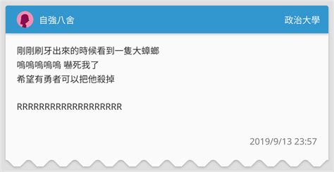 自強八舍 政治大學板 Dcard