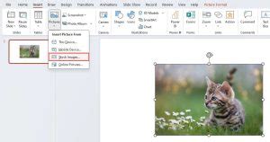 How To Add Borders To Images In PowerPoint MyExcelOnline