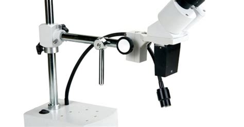 Long Working Distance Stereo Microscope