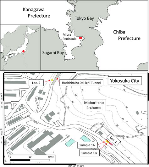 Positions Of Sampling Localities The Outcrop Of Loc 1 Is Exposed From
