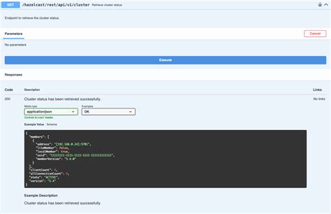 Rest Api Hazelcast Documentation