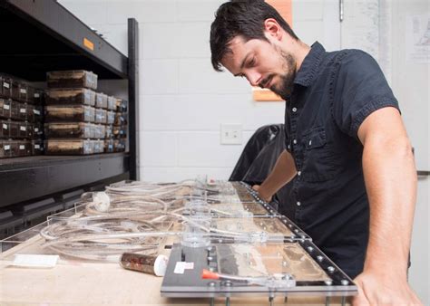 Termite Study Scientists Zero In On How Termites Coordinate Mating