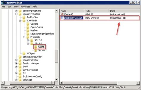 Microsoft IIS Disable SSLv Protocol For POODLE Vulnerability Nolabnoparty