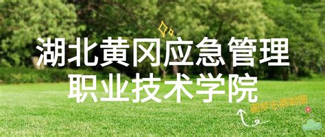 湖北黄冈应急管理职业技术学院近三年录取分数线及位次含 各省最低分