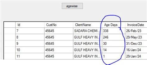 Vb 2015 Age Wise Report In Datagridview For Client Receivables Bills Vbforums