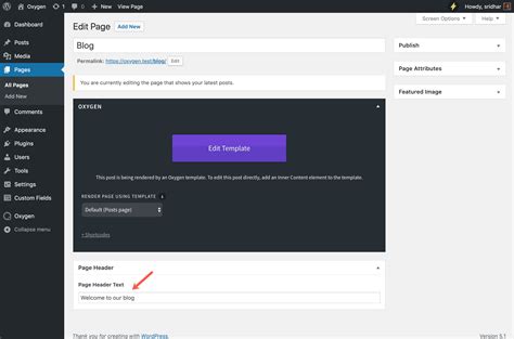 How To Display Custom Fields Values On The Posts Page In Oxygen