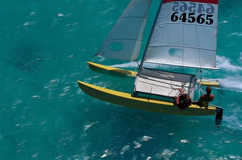 Sailing Hobie Cat Hawaii License Image 70042216 Lookphotos