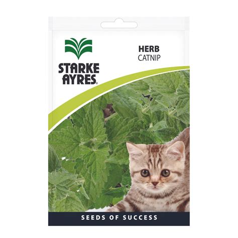 Seeds Catnip Plantify Urban Nursery