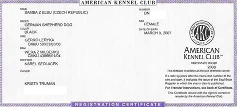 How To Get Akc Papers Any Breeder Or Kennel Who Registers 4 Or More