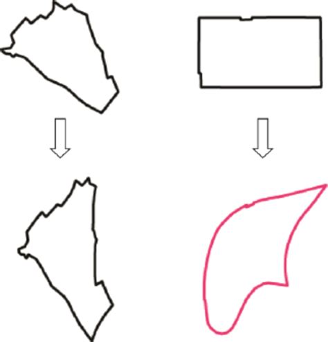 Transformation Effect Of Polygon Shapes Download Scientific Diagram