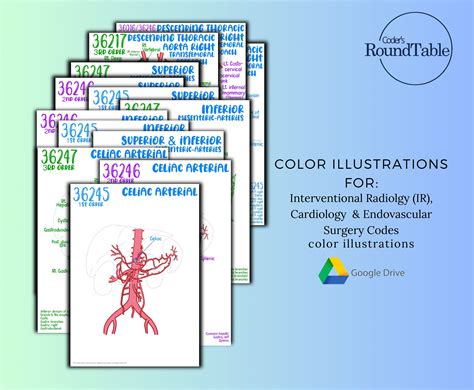 Interventional Radiology Coding Charts Etsy
