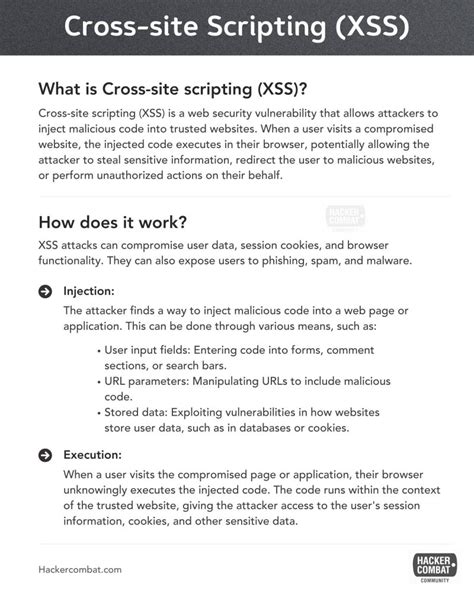 Cross Site Scripting Attacks Can Damage Online Business Hacker Combat