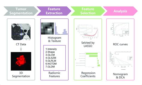 Workflow Of The Study Workflow Can Be Divided Into Four Parts Tumor Download Scientific