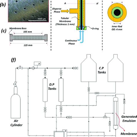 Ss Tubular Membrane And Assembly In Membrane Housing The A Tubular