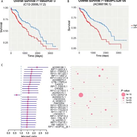 transcriptome profiling of non coding rnas by rna seq in hcc a the
