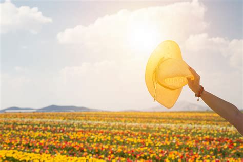 여름 햇볕 여자 손을 잡고 모자입니다 여자는 아름 다운 푸른 하늘과 꽃 정원 배경에 모자를 들고 있다 개념과 주제에 대한 스톡 사진 및 기타 이미지 Istock