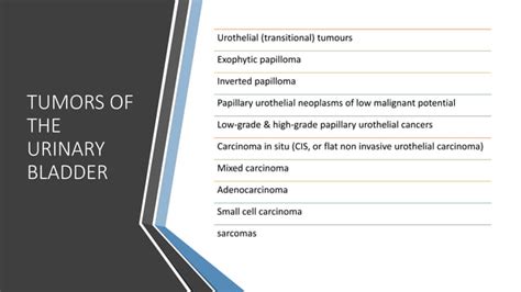 Basics Of Bladder Tumors Pptx Cancer Diseases And Conditions