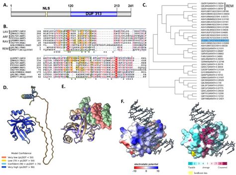 Sequence And Structure Characterization Of Ghb3 A0a1u8mgx4 A Domain
