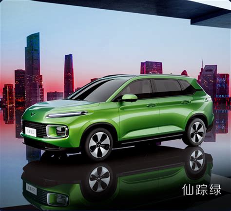 五菱紧凑型 Suv 五菱星云开启盲订 卡饭网