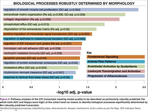 Figure 1 From Virtual Transcriptomics Semantic Scholar