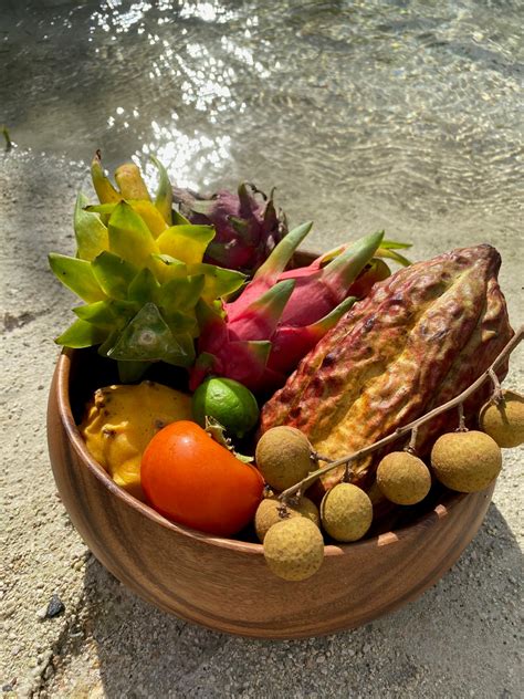 Harvest Update Whats In Season For November 🌳 Miami Fruit